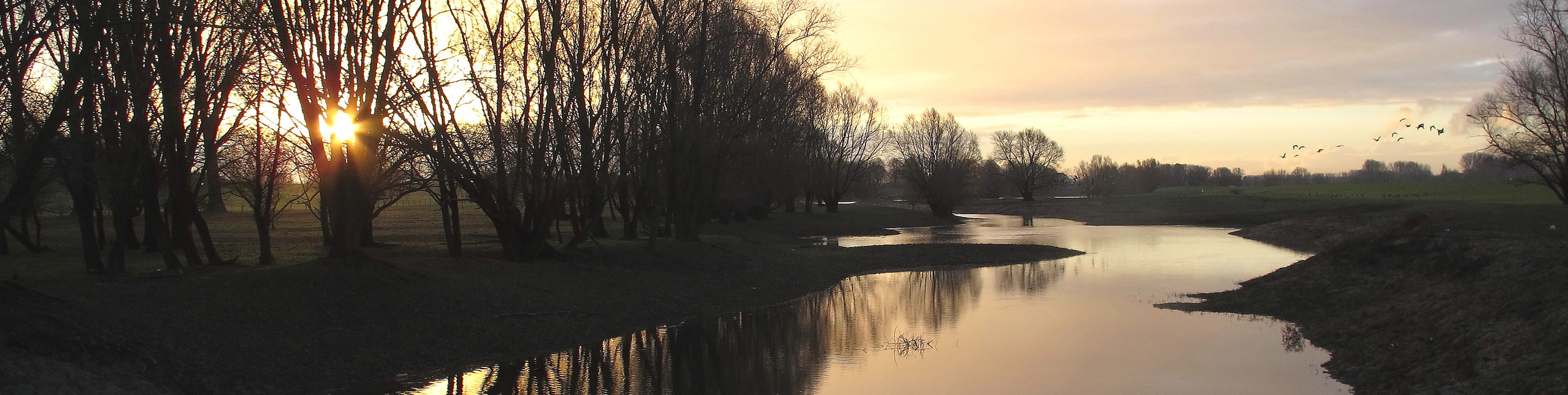 Thema Fluss und Aue